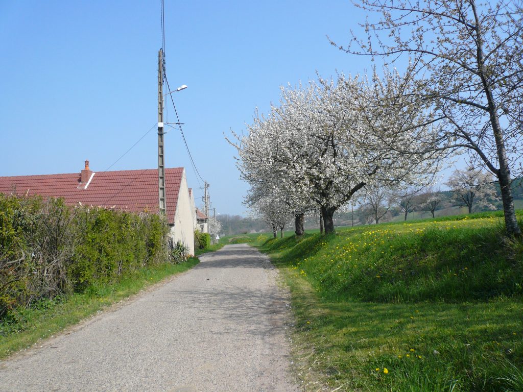 Parcours randonnées - Commune de Creuzier le Vieux
